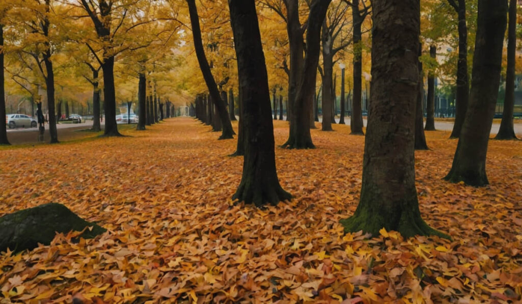 263+ Autumn Pick Up Lines & Rizz (Funny, Cheesy & Tinder)